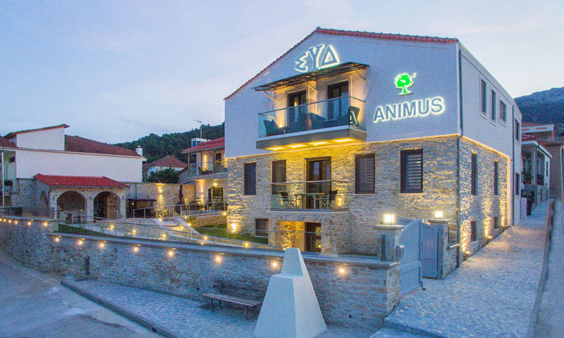 Όμιλος ANIMUS - Animus